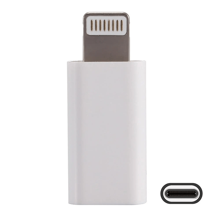 Adaptateur Mini Convertisseur USB C vers Lightning - Blanc - morgenda.ch